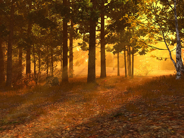 Nature 3D Screensavers Autumn Forest