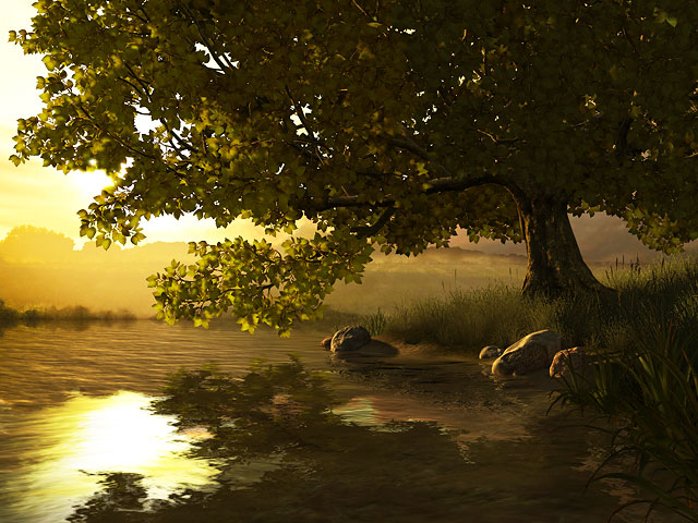 Nature 3D Screensavers - Lake Tree