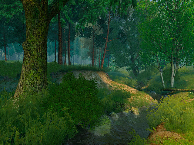 Forest Wallpapers And Screensavers Forest Wallpaper Photos, Download